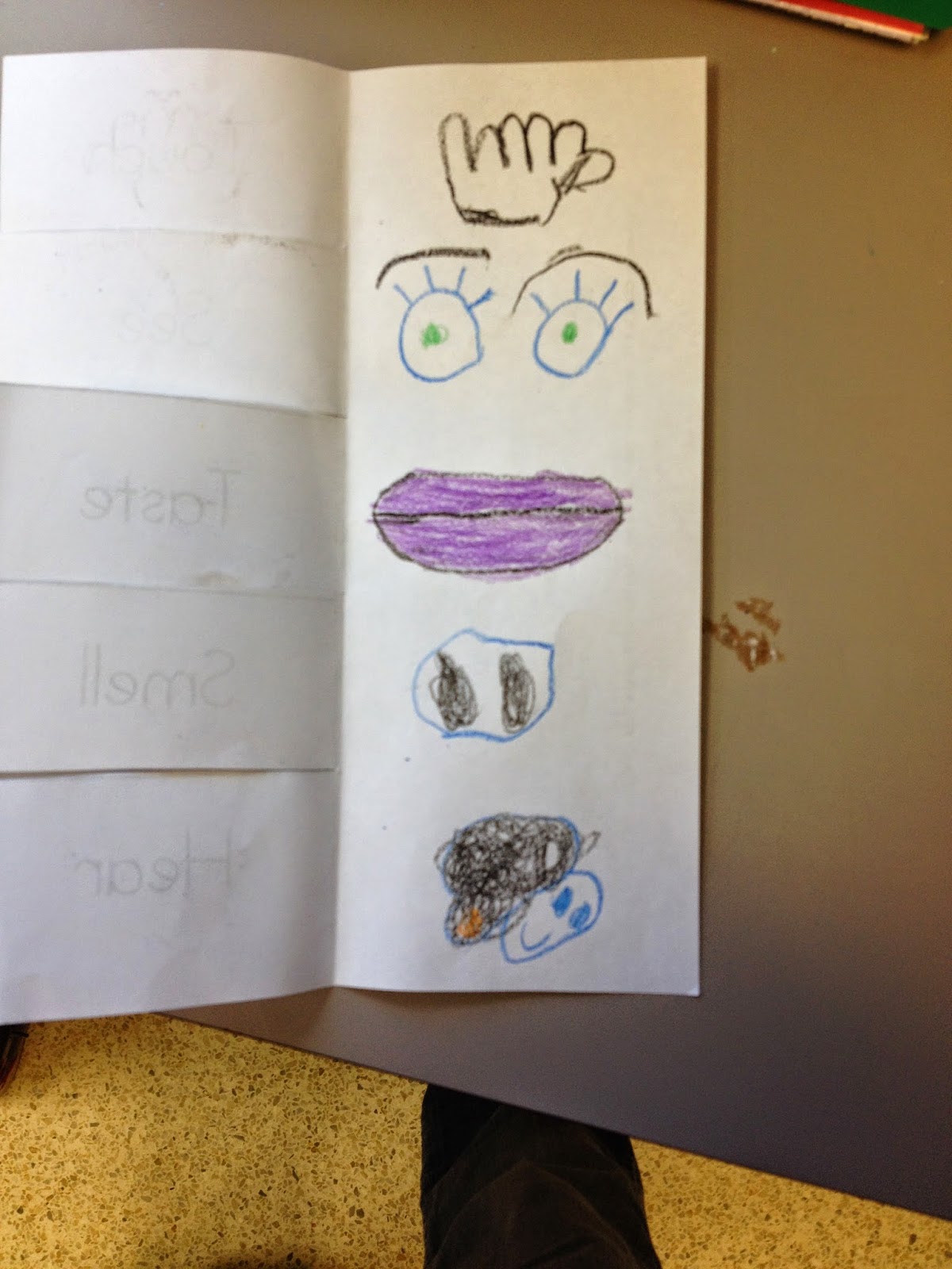 Mrs. Spriggs' Kindergarten Pond: Discovery Education & Our Five Senses